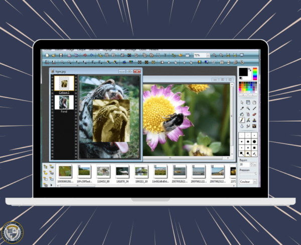 10 Najlepszych Darmowych Programów Graficznych (2025)